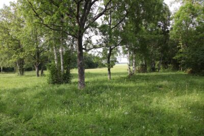Puisniidud – Pärandkoosluste Kaitse Ühing